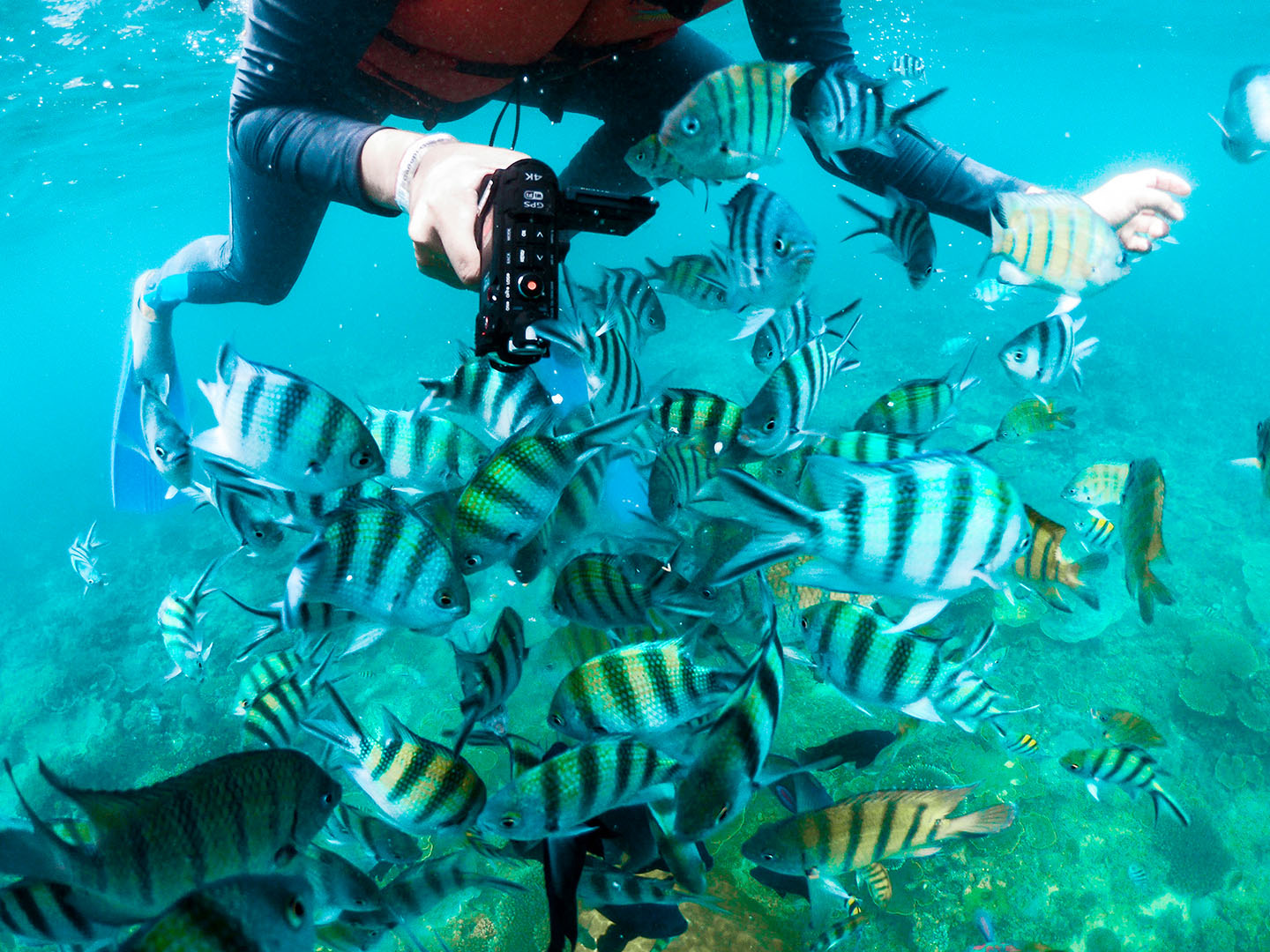 Plaza Lagoi — Bintan Resorts